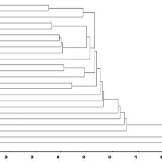 Dendrogram Obtained Using The Nearest Neighbor Method Based On The