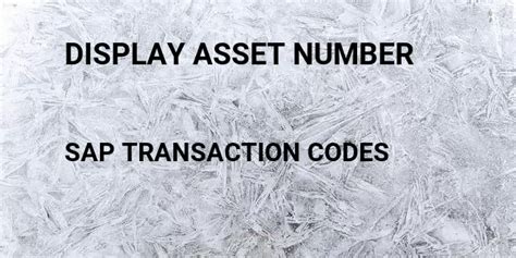 Display Asset Number Tcode In SAP Transaction Codes List