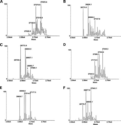 Rp Hplc Tof Ms Analysis Of The Fc Hc Fragments The Deconvoluted Mass