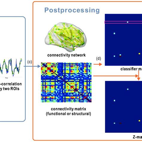 Flow Chart Of The Preprocessing Of Fmri And Dmri Data Left Blue Box Download Scientific