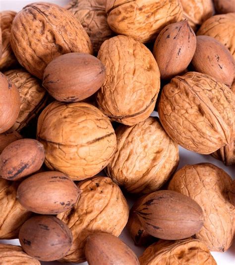 Nueces Pecanas ¿por Qué Son Perfectas Para Su Uso En Repostería