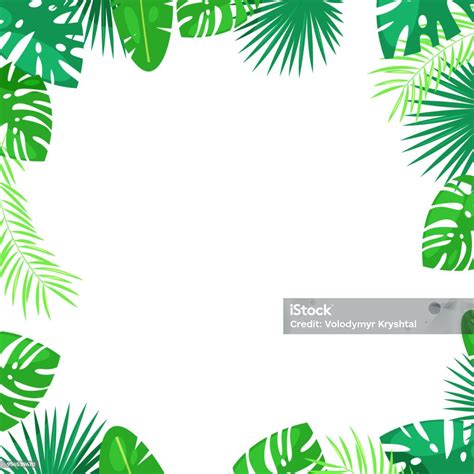 열 대 야 자 나뭇잎 벡터 사각형 프레임 텍스트에 대 한 장소를 가진 백색 배경입니다 정글 여름 만화 그림입니다 0명에 대한