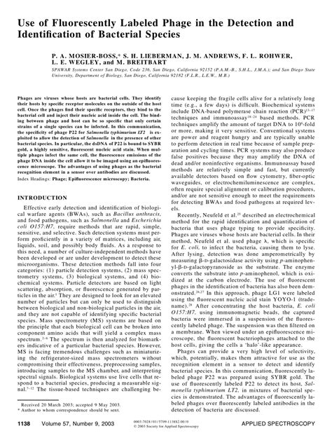 Pdf Use Of Fluorescently Labeled Phage In The Detection And