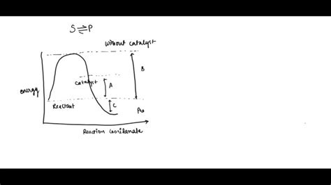 The Following Sketch Illustrates The Gas Phase Diffusion In The Neighborhood Of A Catalytic