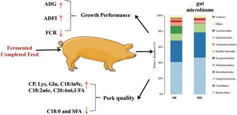 Effects Of Microbial Fermented Feed On Serum Biochemical Profile