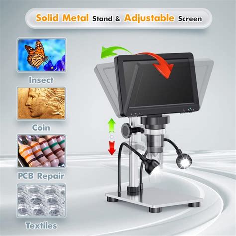How Does The Light Microscope Work