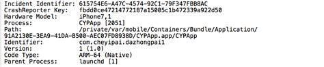 ios应用崩溃（一）——crash文件解析 crash文件是什么意思 csdn博客