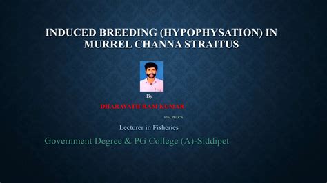 Hypophysation Technique By Dharavath Ram Kumarpptx