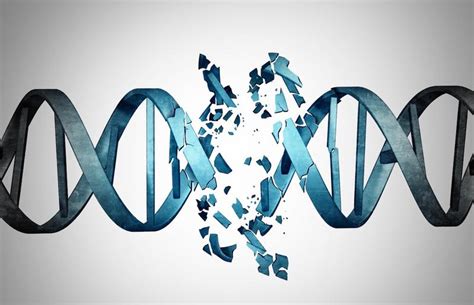 News New Study Questions The Safety Of Base Editing Crispr Medicine