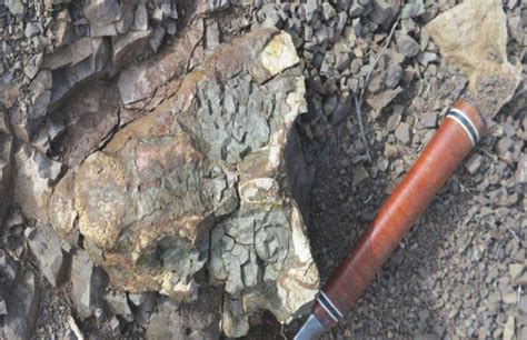 Scientists Who Discovered Bulbasaurus Didnt Name It After A Pokémon