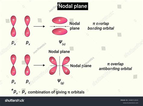 Nodal Plane Atomic Orbitals Molecular Orbitals Stock Vector Royalty