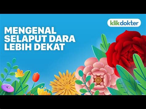 Semua Fakta Seputar Selaput Dara Bentuk Ukuran Dan Fungsi Biotifor