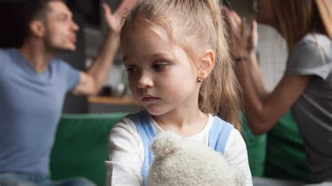 Scheiden Incluzio Hollands Kroon