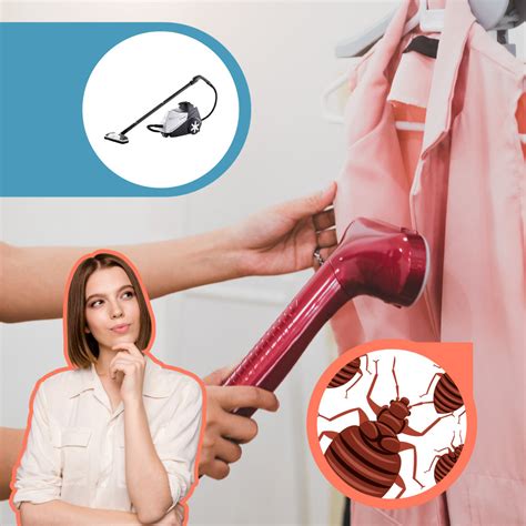 Can A Clothes Steamer Kill Bed Bugs Bed Bug Sos