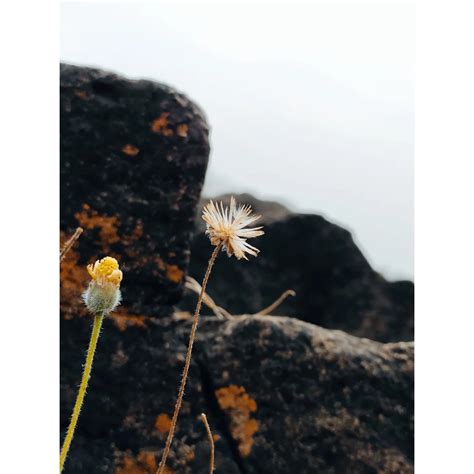 Aryan Fromaryan • Instagram Photos And Videos