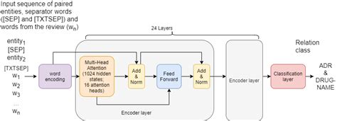 Conceptual Scheme Of Our Approach To The Task Of Relation Extraction