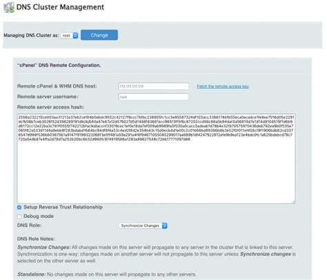 How To Setup Cpanel Whm Dns Clusters Damcheys Blog
