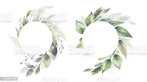 수채화 꽃 일러스트 세트 녹색 잎 프레임 컬렉션 결혼식 고정 인사말 배경 화면 패션 배경 유칼립투스 올리브 녹색 잎 등 0명에 대한 스톡 벡터 아트 및 기타 이미지 Istock
