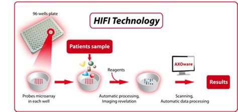 Microarray In A 96 Well Plate Format From AXOScience Axoscience Com Download Scientific
