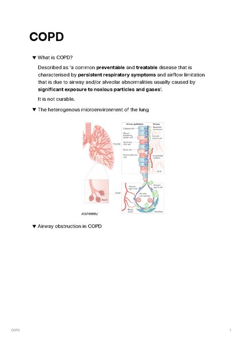 Copd Lecture Notes Copd What Is Copd Described As ‘a Common Preventable And Treatable Disease