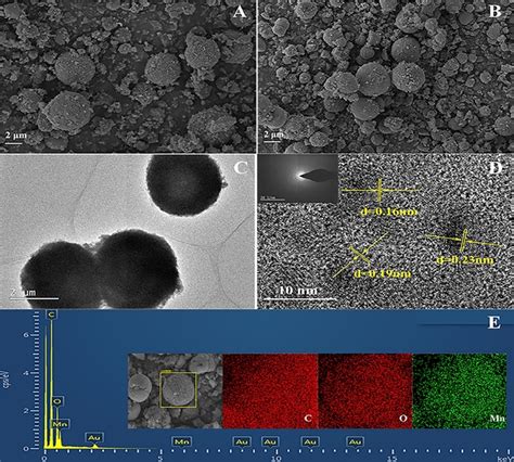 SEM And TEM Images Of MnBTC A C And MnOx B D SEMEDS Elemental Download Scientific