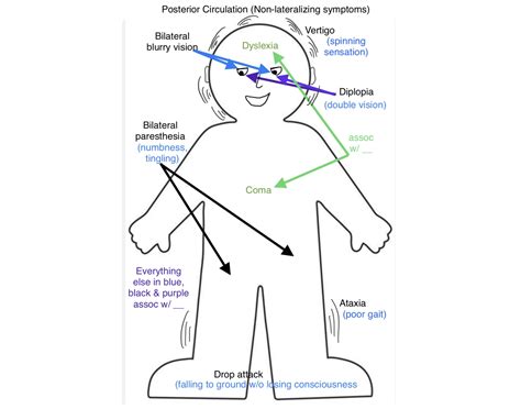 Vasc Reg Rev Post Circulation Quiz