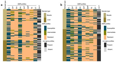 Detection And Characterisation Of Colistin Resistant Escherichia Coli In Broiler Meats
