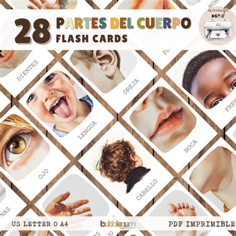 28 Printable Spanish Body Parts Flashcards Montessori 3 Part Cards