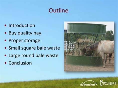 Reducing Hay Waste (Martinson)