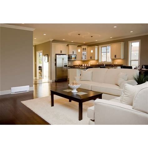 Dimplex 20 In White Linear Convector Baseboard Heater 240 208v 500 375w 400001230 Rona