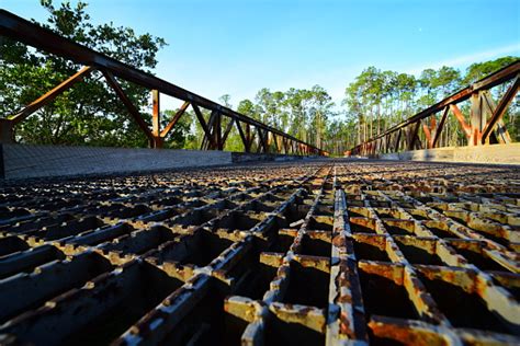 Jembatan Logam Dengan Dek Kisi Di Atas Sungai Lebar Di Hutan Pinus