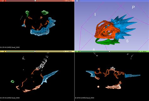 Older Scenes And Specimens Loading Incorrectly Support 3d Slicer Community
