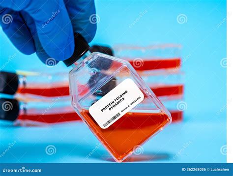 Protein Folding Dynamics Exploring How Proteins Fold Within Cells And The Consequences Of