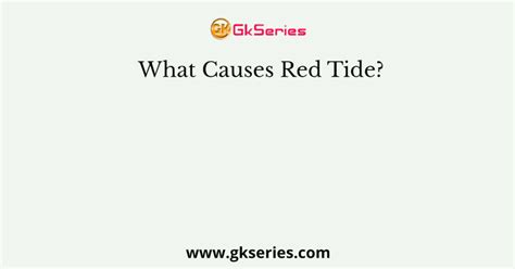 What Causes Red Tide