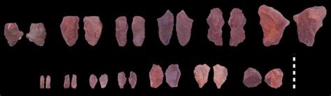 Lithic Assemblage For Kovalli Cultivated Field Download Scientific Diagram
