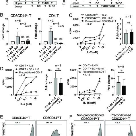 Preconditioning Requires Cell To Cell Contact Between Dcs And Resting T