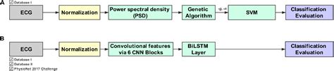 frontiers deep learning algorithm classifies heartbeat events based on electrocardiogram signals