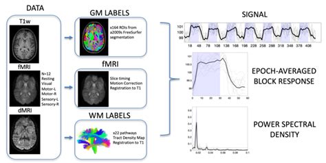 Image Acquisition Preprocessing Region Of Interest Delineation And