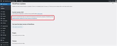 How To Enable Auto Updates On Your Wordpress Website