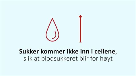 Diabetes Hyperglykemi Og Ketoacidose Youtube