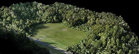 Interpine Innovation On Linkedin Lidar Photogrammetry Forestry Laser Forest 3d Virtual