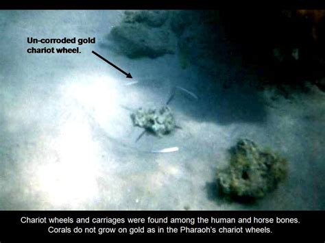 Archaeological Proof Of Red Sea Crossing Exodus Eastwind Journals