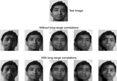Capturing Long Range Correlations With Patch Models