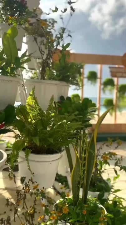 Akshat Sinha On Linkedin Treelighting Celebrations