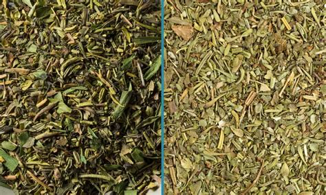 Chervil Vs Parsley Whats The Difference Lets Foodie