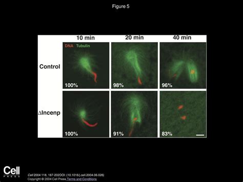 Volume Issue Pages July Ppt Download