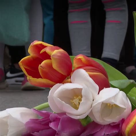 Ето Явор и Ани които загинаха на пешеходната пътека Снимка За Жената