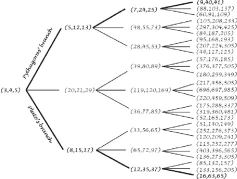 Figure From Anatomy Of The Pythagoras Tree Semantic Scholar