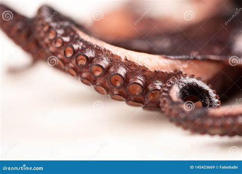 Tentacle Of Octopus In A Wooden Plate Stock Image