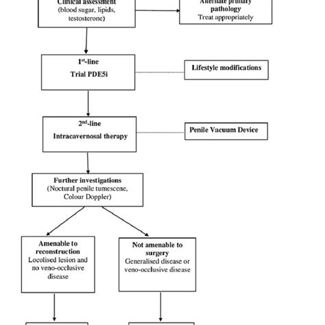 Algorithm For The Management Of Ed Patients Following Fracture Of The Download Scientific